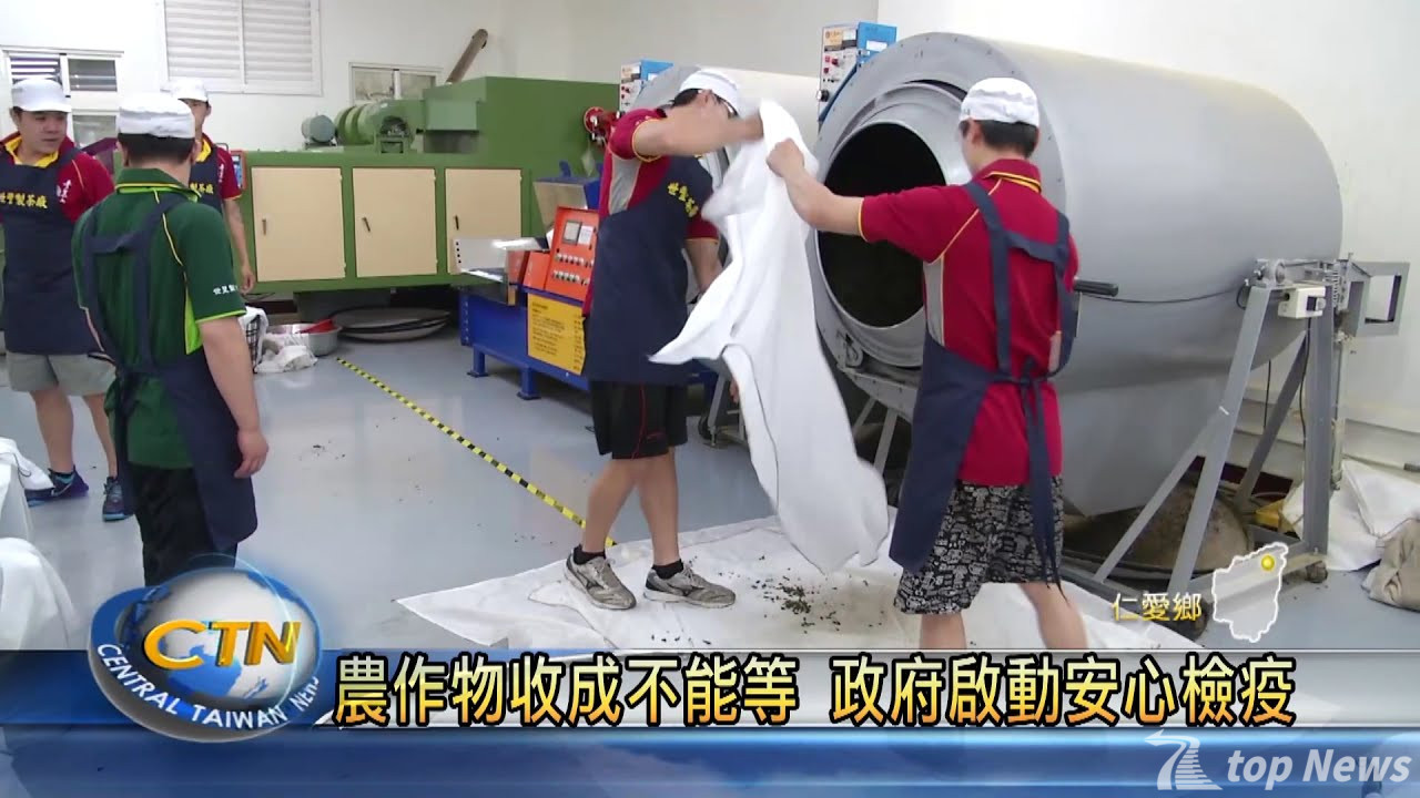 面臨春茶採收 憂非法外勞成防疫漏洞 - 鑫傳國際多媒體科技股份有限公司 TDN台灣生活新聞